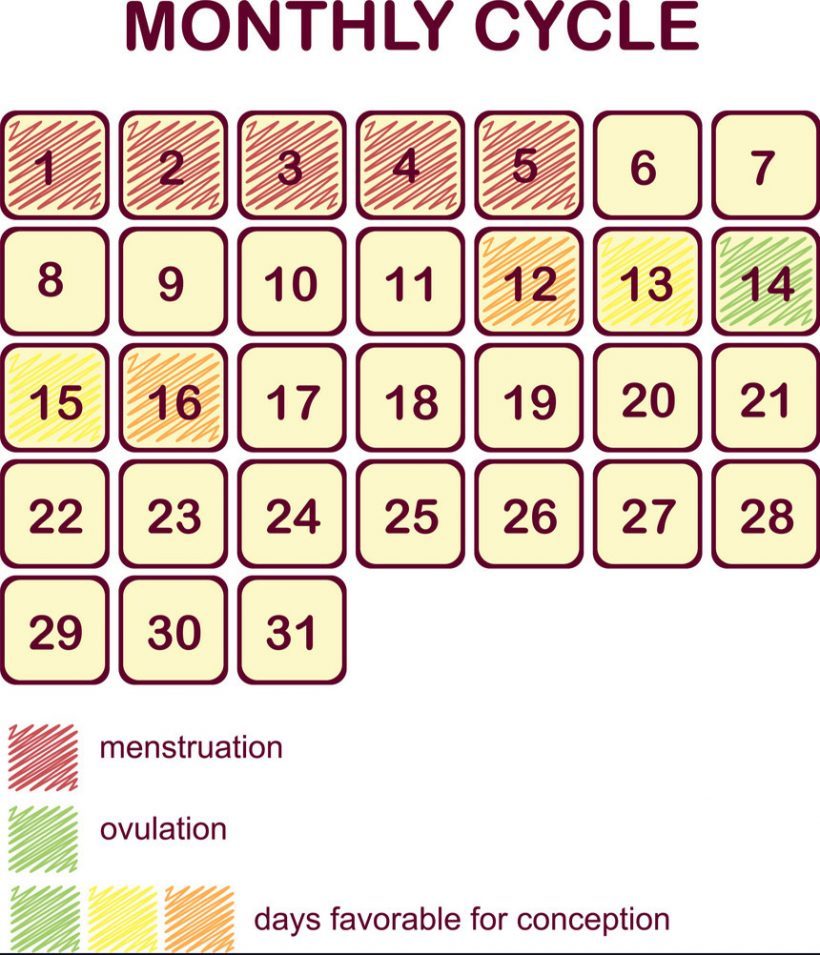 Menstrual Cycle : What's The Best Time to Get Pregnant?